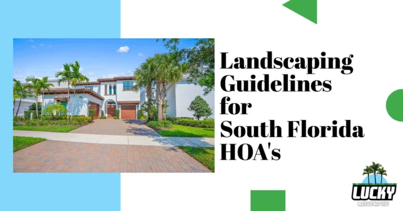 South Florida HOA Landscaping Guidelines | Lucky Landscaping